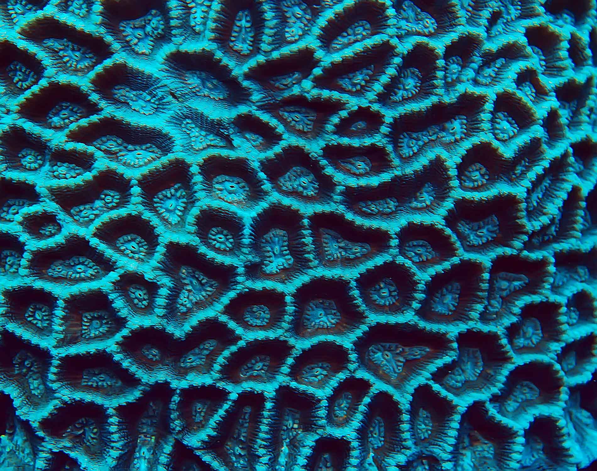 The IRS Triple Threat – What Nearly Doubling the IRS’s Enforcement ...