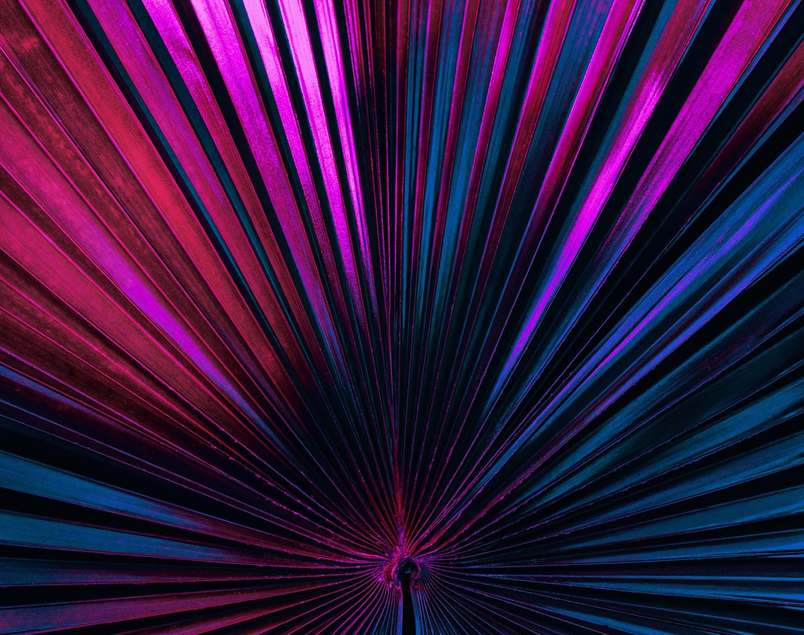 The One Big Beautiful Bill Expands Code Section 1202 Gain Exclusion ...